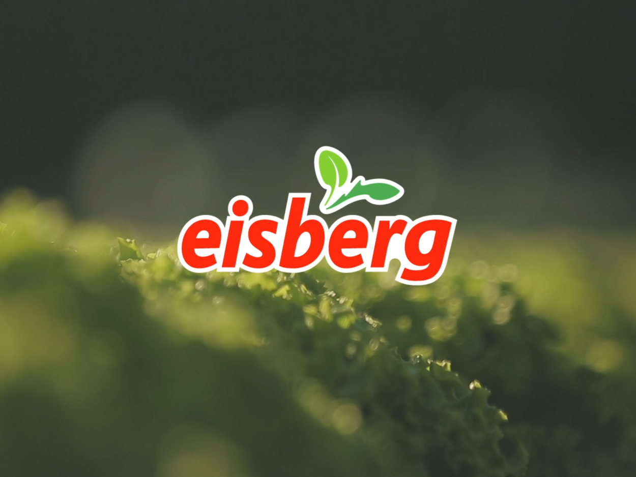 Contact - Eisberg Group