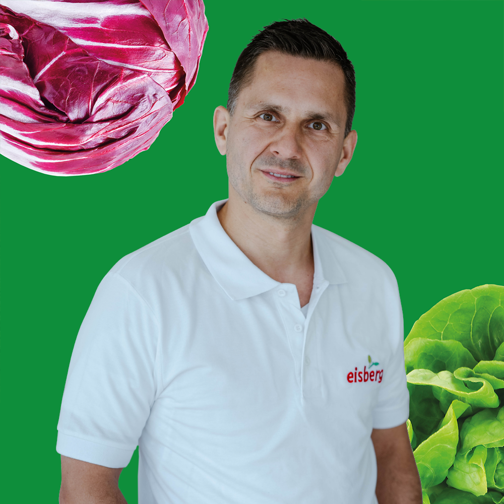 The Eisberg Group's Team