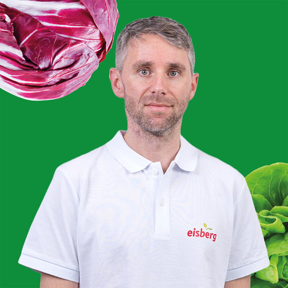 The Eisberg Group's Team
